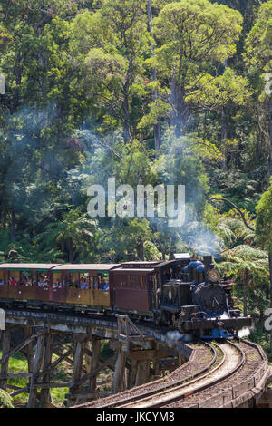 Australia, Dandenong Ranges. Puffing Billy, historic vintage steam train, circa early 1900's ...