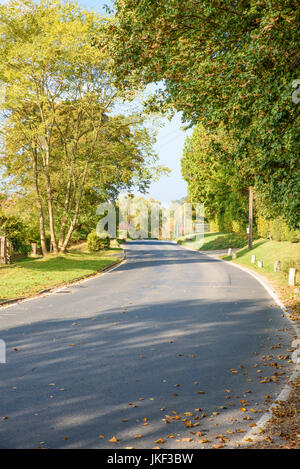 small road through the trees in arenas village spain Stock Photo - Alamy