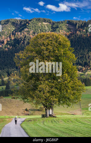 Germany, Bavaria, Halblech, alpine landscape Stock Photo - Alamy