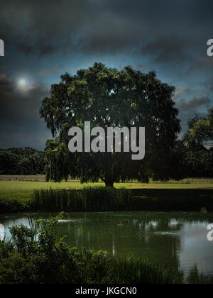 Beautiful Scenery of Pond at Blue Moon Valley in Lijiang, China Stock ...