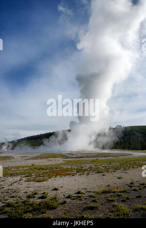 The Upper Geyser Basin, which is the location of Old Faithful Geyser ...