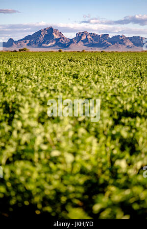 A road in the Arizona mountain range Stock Photo - Alamy