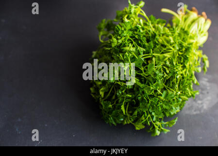 Fresh parsey herb on dark background with copyspace Stock Photo - Alamy