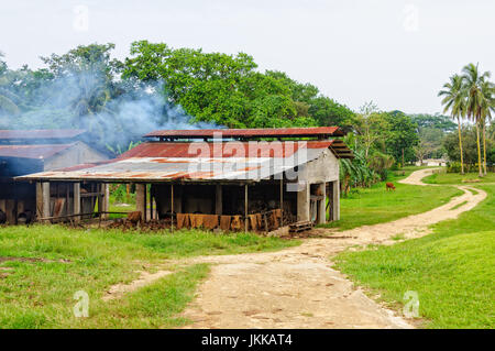 Small copra processing plant in Saraoutou, Espiritu Santo, Vanuatu ...