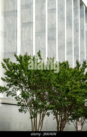 Pillars of the James Madison Building at the Library of Congress, in ...