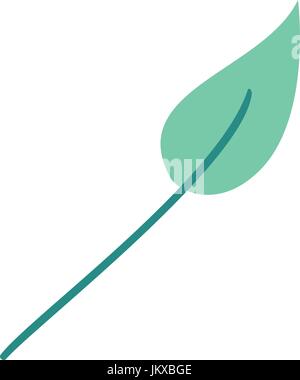 lanceolate leaf illustration Stock Vector Image & Art - Alamy