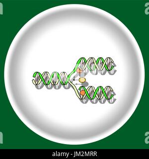 Icon white black replication DNA on grey plate Stock Vector Image & Art ...