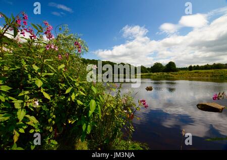 Ribchester, The River Ribble and Farmland, Lancashire, England, UK ...