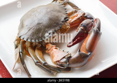 raw mud crab on white dish Stock Photo - Alamy