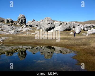 Limestone rock formations, Castle Hill, Canterbury, South Island, New ...