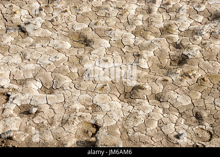Cracked earth around one of the geothermal basins, Yellowstone National ...