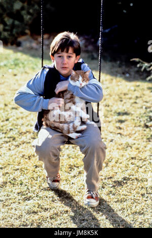 joseph gordon levitt, gregory k, 1993 Stock Photo - Alamy