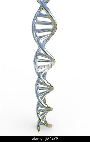 DNA structure model on white Stock Photo - Alamy