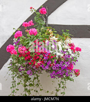Vivid mass of flowering plants inc, red verbena, orange petunias ...