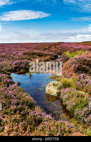 Pond on North Yorkshire Moors above Over and Nether Silton, North ...