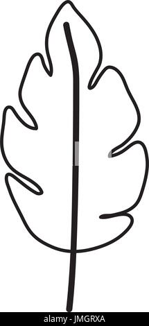 sketch contour of wavy leaf plant Stock Vector Image & Art - Alamy