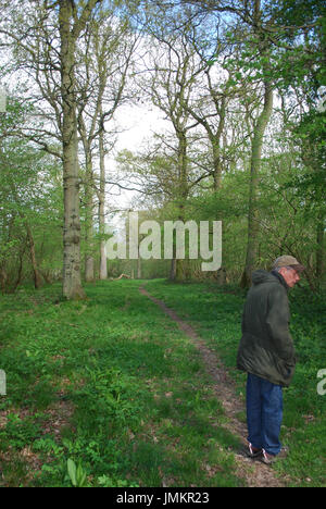 Man stood on a path in the woods forward facing and waving ahead with ...
