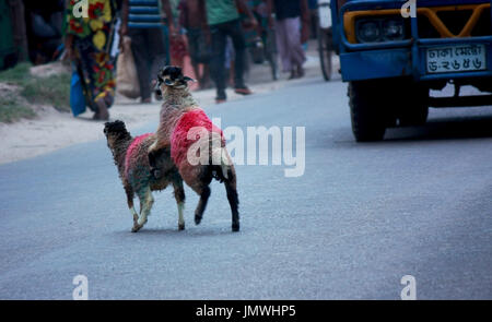 the root less children , tired and active labourer etc are seen in mega ...