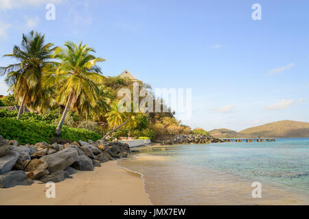 Mango Bay with Palms and sandy beach, Virgin Gorda Island, British ...