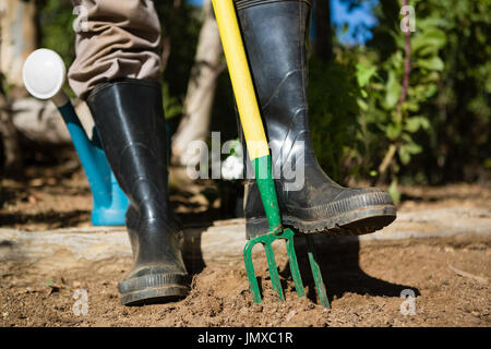 Mature man digging garden with fork Stock Photo - Alamy