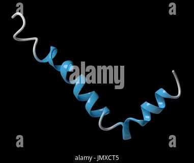 Amyloid beta (Abeta) peptide. Major component of plaques found in ...