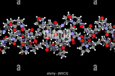 Collagen model protein molecule, chemical structure. Collagen adopts a ...