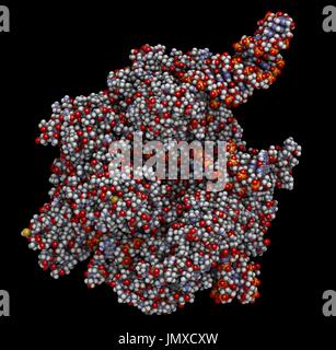 Structure of Streptococcus pyogenes Cas9 in complex with guide RNA ...