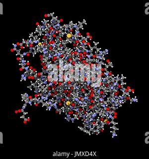 Interferon alpha 2a (IFNA2) molecule, 3D rendering. Pegylated analogs ...