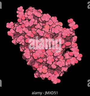 Interferon alpha 2a (IFNA2) molecule, 3D rendering. Pegylated analogs ...