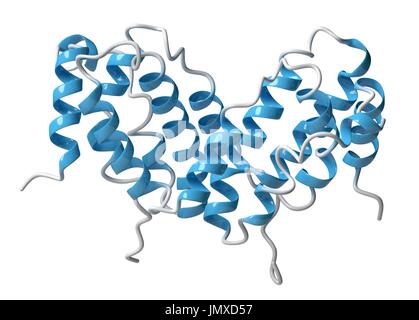 Interferon beta molecule, chemical structure. Cytokine used to treat ...