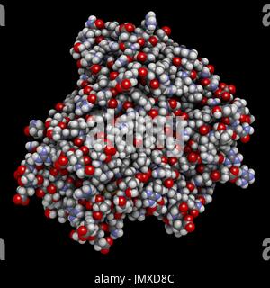 Tumour necrosis factor alpha (TNF) cytokine protein molecule ...