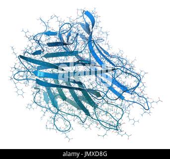Tumour necrosis factor alpha (TNF) cytokine protein molecule ...