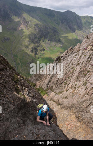 Summer scramble in Snowdonia National Park, north Wales, UK Stock Photo ...