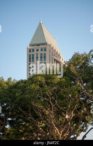 Tree growing out of building in Accumoli Italy Stock Photo - Alamy
