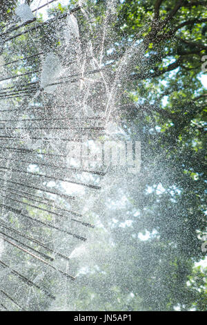 Dandelion water installation at the park Stock Photo - Alamy