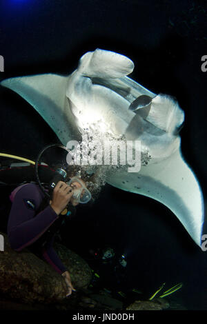 Manta Ray Night Dive Stock Photo - Alamy