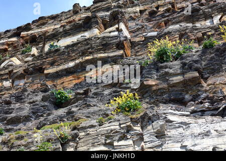 Geological cliff structures with limestone and soft crumbling oil Stock ...