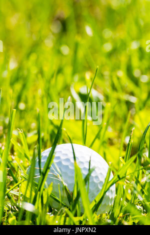 Nice Golf Field Golf Course Stock Photo - Alamy