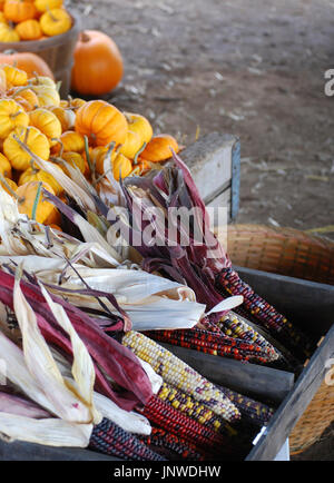 Indian Lore V Stock Photo - Alamy