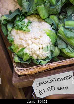 Cauliflower on display at a farmers market. Front view and close up ...