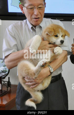 Russian President Vladimir Putin with a puppy born to his dog Labrador ...