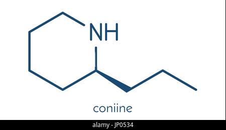 Skeletal formula of Coniine. chemical molecule Stock Vector Image & Art ...
