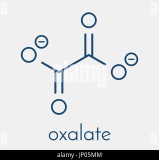 Oxalate anion, chemical structure. Oxalate salts can form kidney stones ...