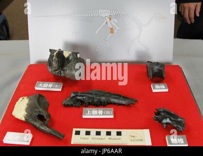 Fossils of a new species of Iguanodontia excavated in Katsuyama, Fukui ...