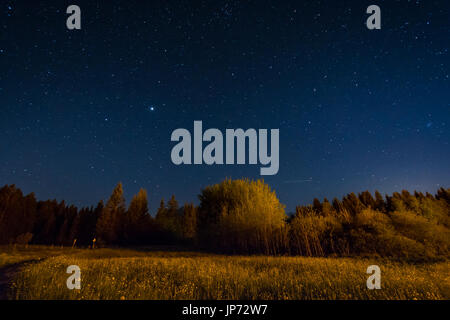 Natural night landscape under starlight Stock Photo - Alamy
