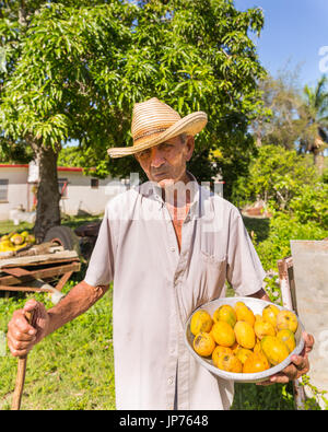 Cuban farmer, closeup portrait of face, senior male, Cuba Stock Photo ...