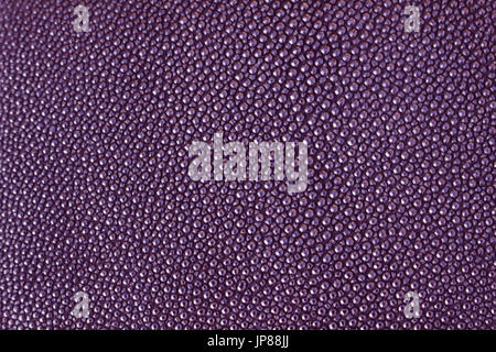 purple texture leather shagreen Stock Photo - Alamy