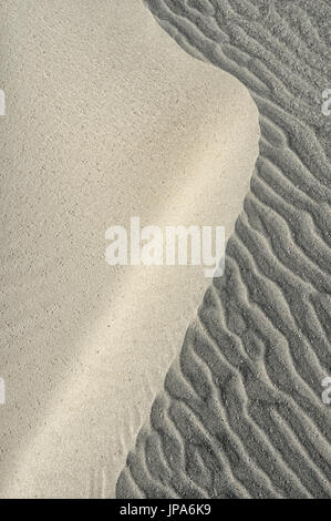Natural Science, Sand on the beach, close-up Stock Photo - Alamy