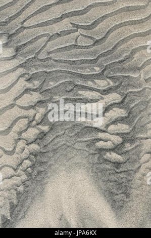 Natural Science, Sand on the beach, close-up Stock Photo - Alamy
