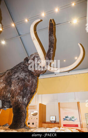 Inside the Hull and East Riding Museum of Archaeology. Hull, East ...
